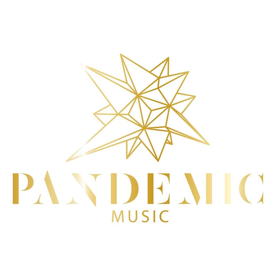 PANDEMIC MUSIC | Entertainment (DJ) in Singapore | Bridestory.com