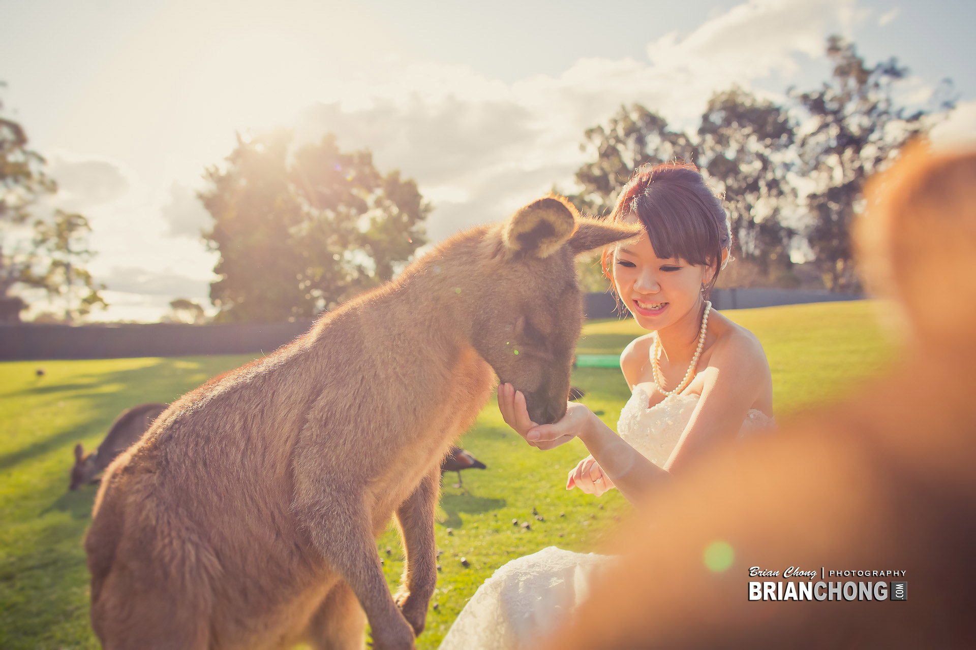 JOJO & PO PRE-WEDDING by Brian Chong Photography | Bridestory.com