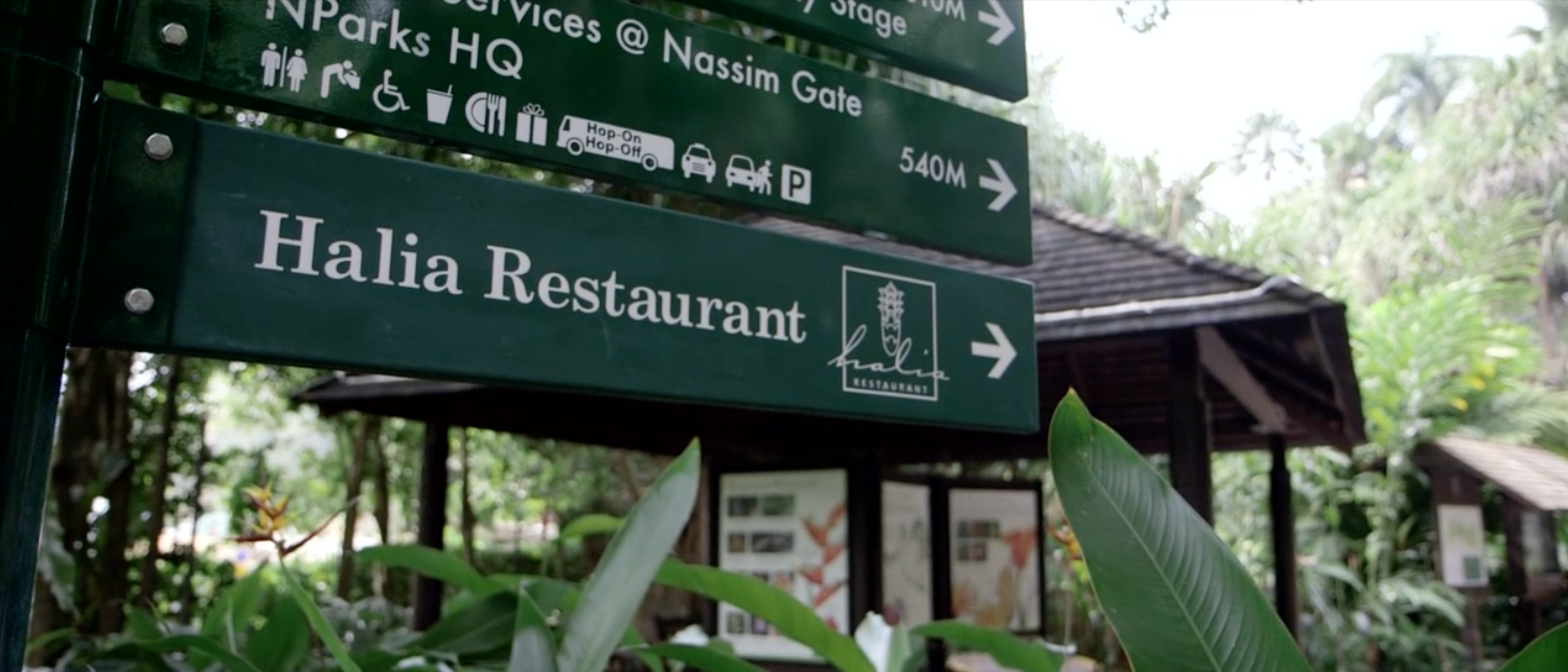 Wedding Full Day Edit - Botanic Garden Halia Restaurant by Winson ...