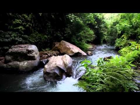 Glenn Chelsea Honeymoon - New Journey of Love | Triangle Picture ...